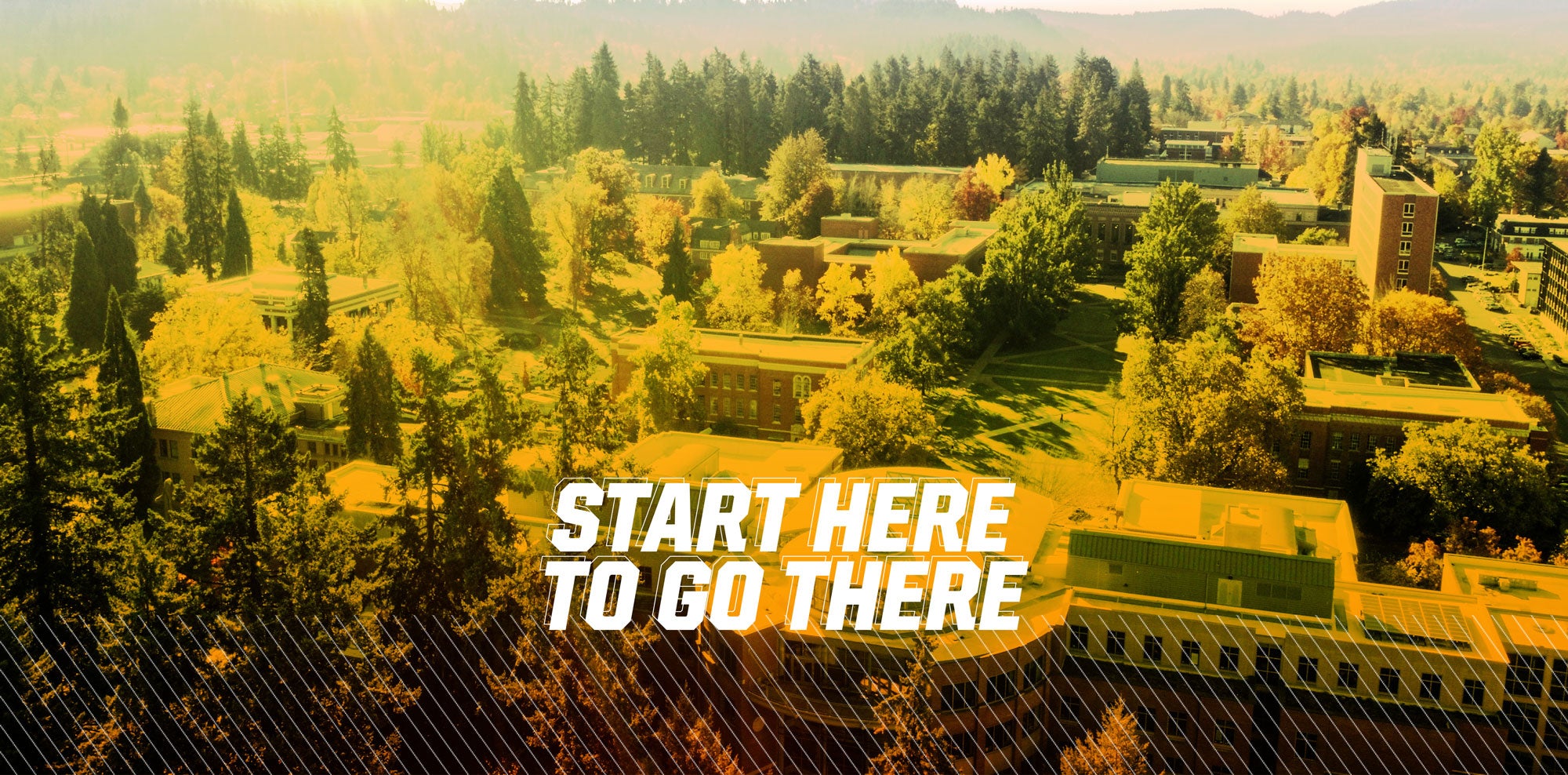 Lundquist College of Business