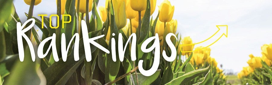 Oregon MBA Places Third in Princeton Review Rankings | Lundquist ...